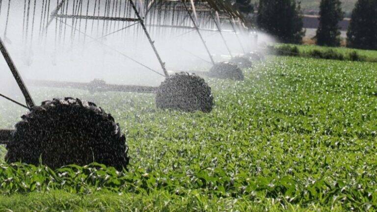 ¿Qué es fertirrigación? Tipos, ventajas y cómo funciona | Fertri ...