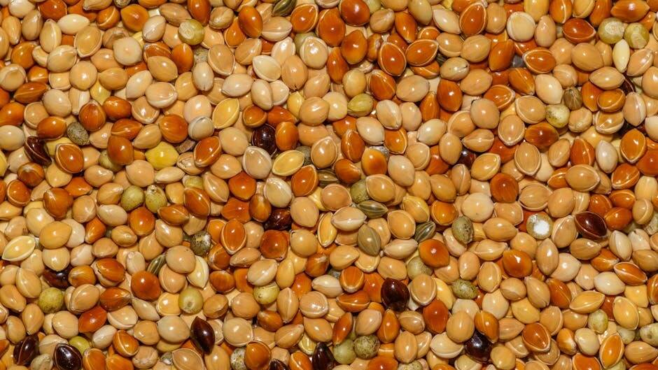 How to grow sorghum? Planting and harvesting guide | Fertri Invernaderos