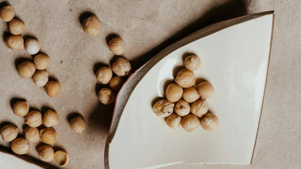 How to grow chickpeas? Guide to planting, care and recommendations